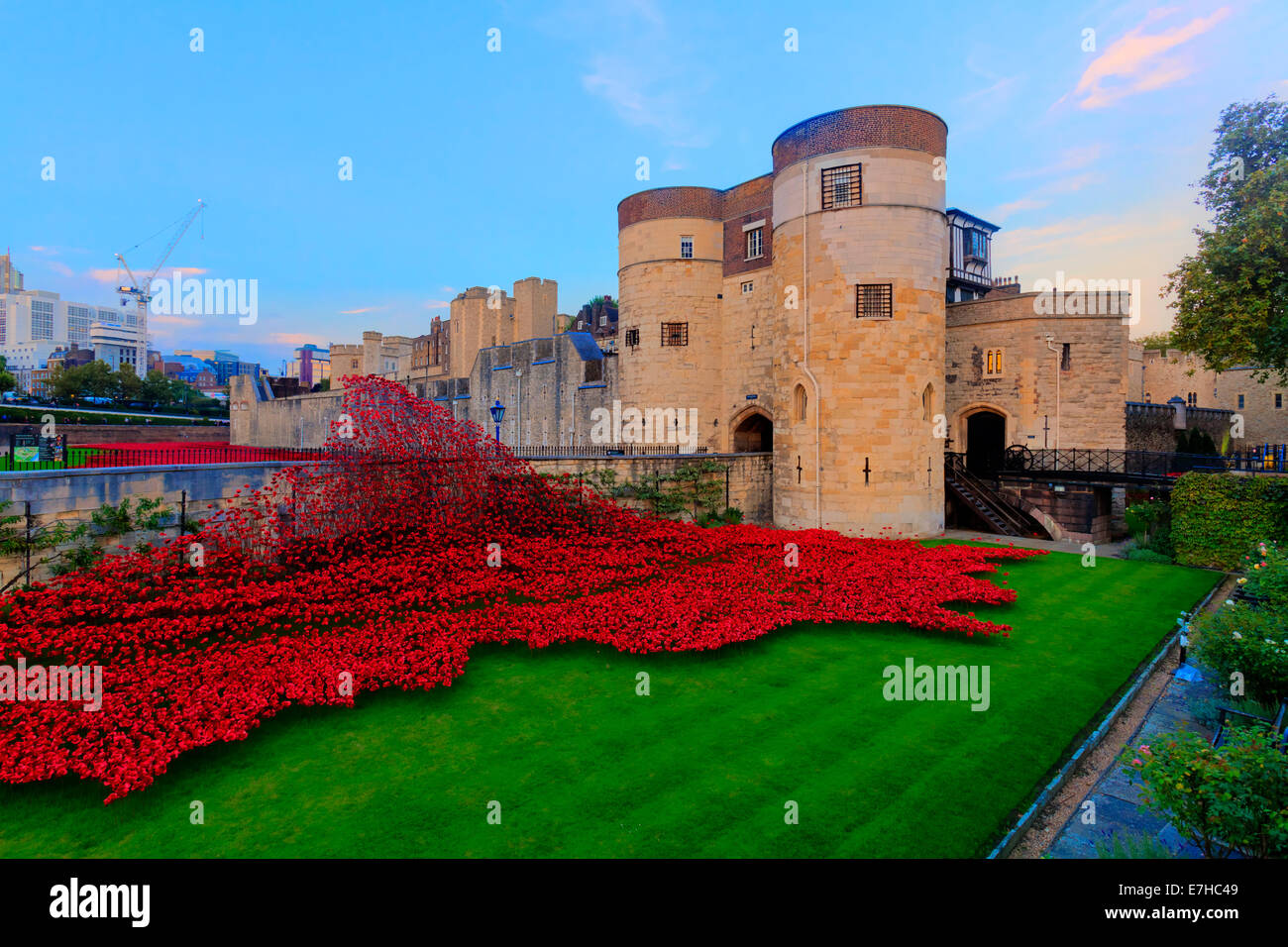Poppy Display at The Tower of London To Commemorate the 100 year ...