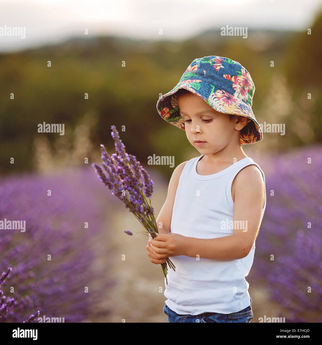 Little fashionable boy having fun in lavender field Stock Photo - Alamy