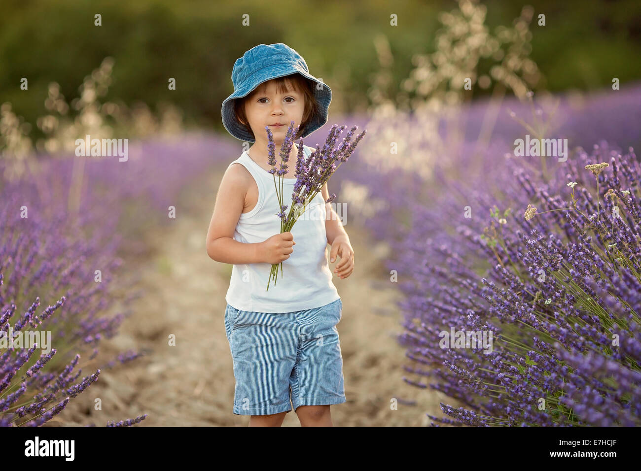 Little fashionable boy having fun in lavender field Stock Photo - Alamy