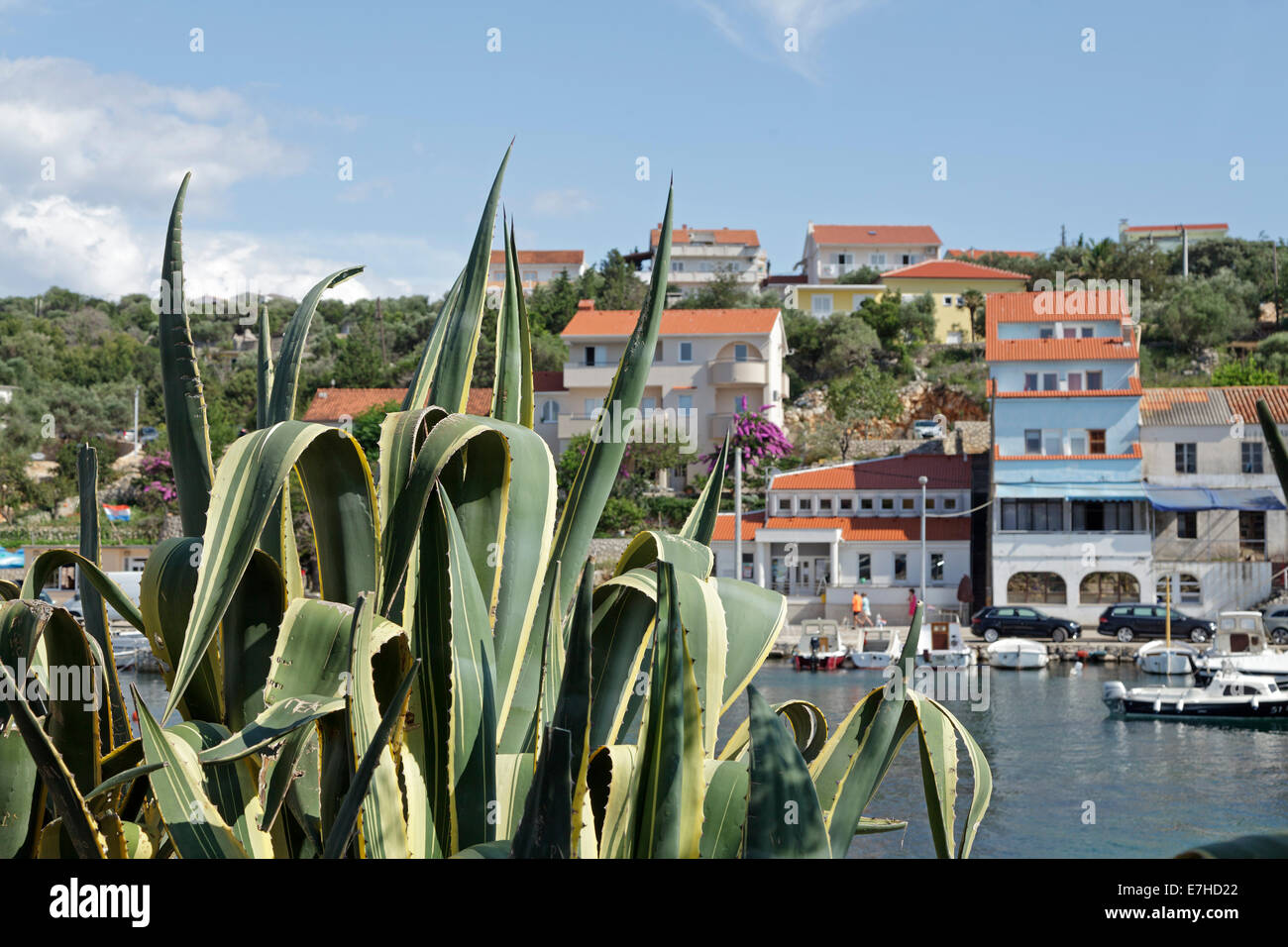 Lun kroatien hi-res stock photography and images - Alamy