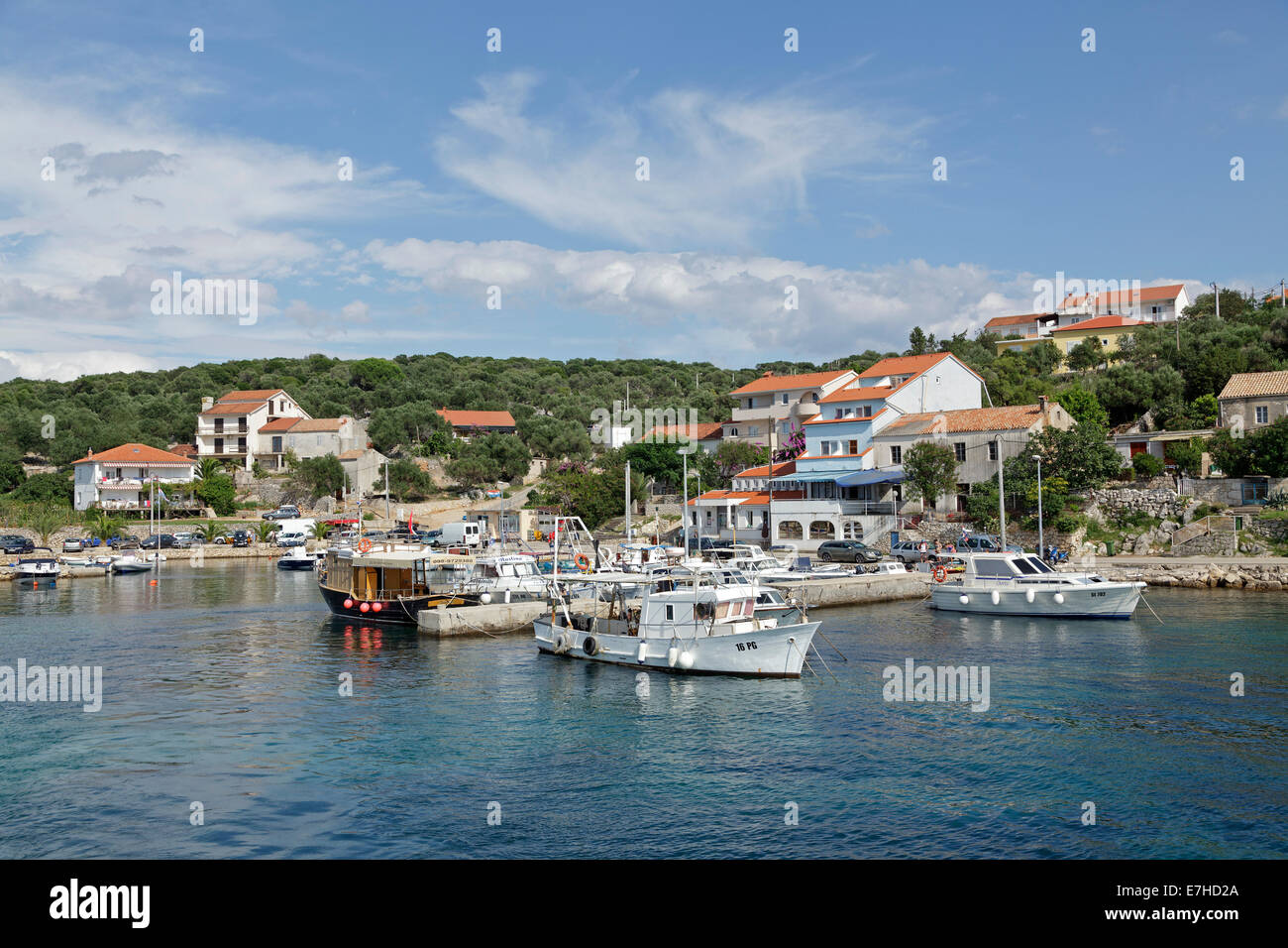 Lun, Pag Island, North Dalmatia, Croatia Stock Photo - Alamy