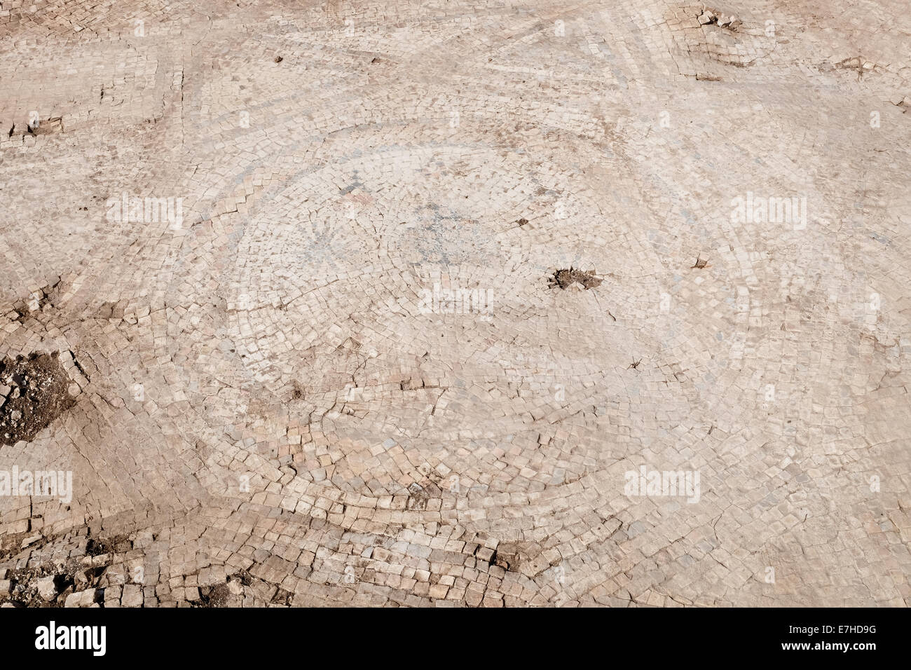 Bet shemesh archeology hi-res stock photography and images - Alamy