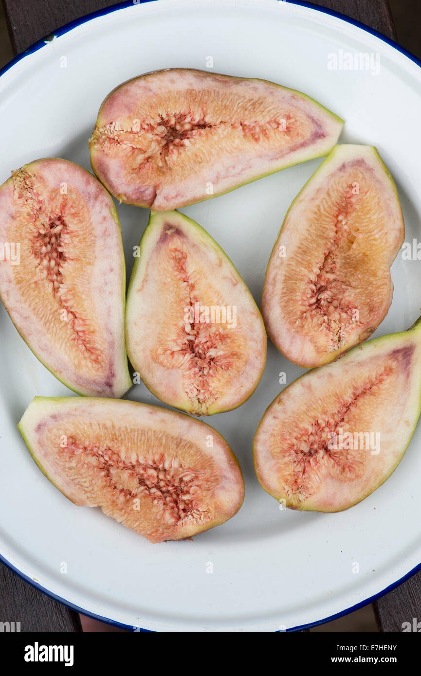 Fig cross section hi-res stock photography and images - Alamy