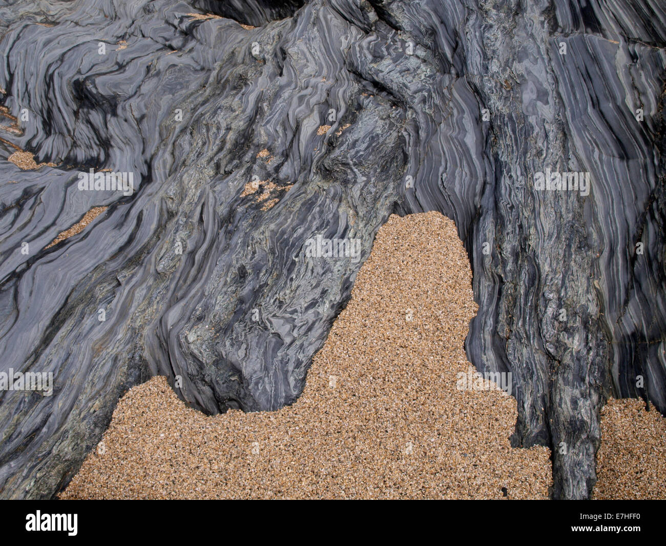 Foliation