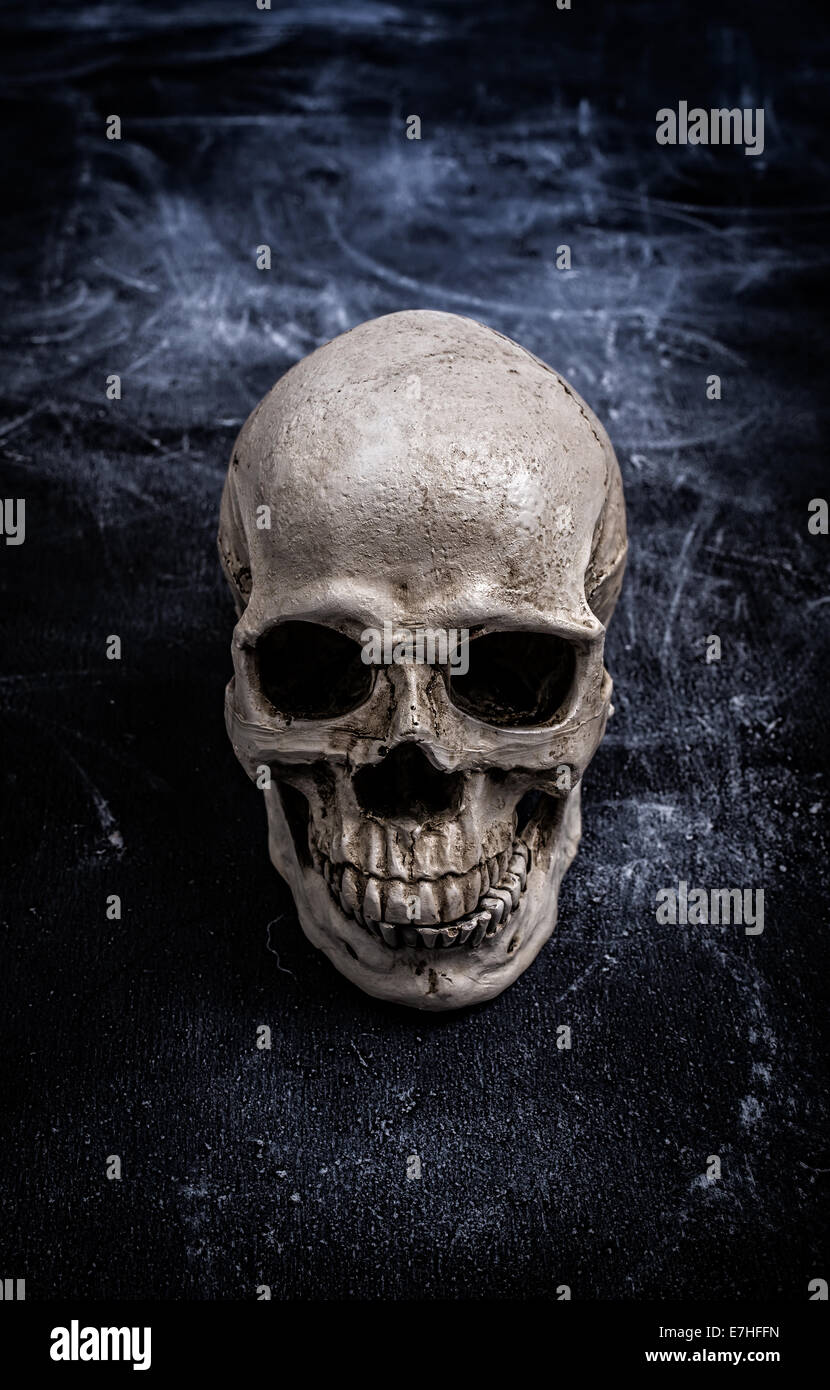 Skull on dark background hi-res stock photography and images - Alamy