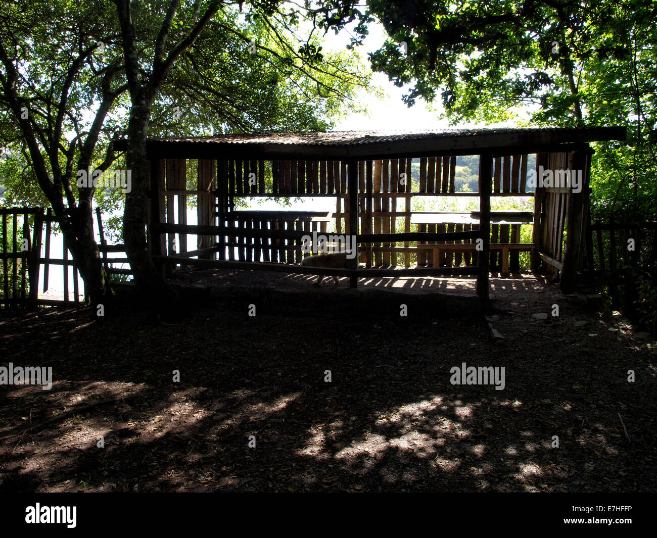 Bird watching hide on the Loe Pool Lake, Penrose, Cornwall, UK Stock ...