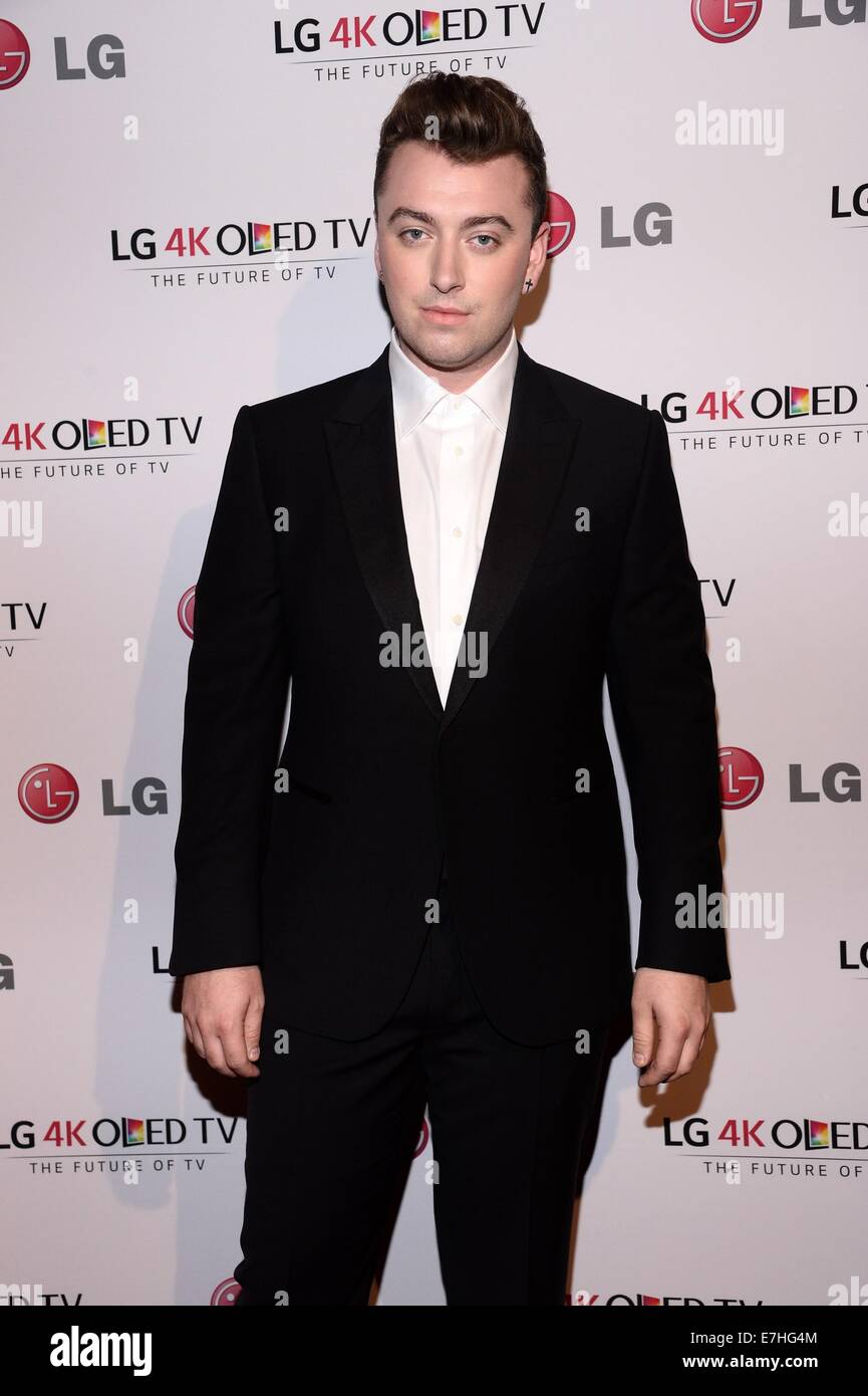 New York, NY, USA. 17th Sep, 2014. Sam Smith at arrivals for 2014 Art ...