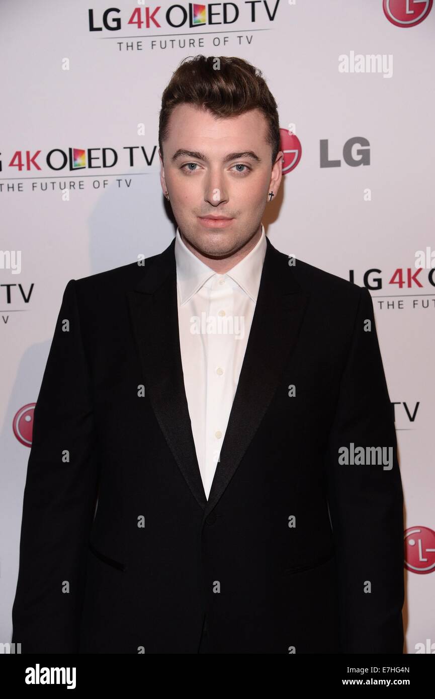 New York, NY, USA. 17th Sep, 2014. Sam Smith at arrivals for 2014 Art ...