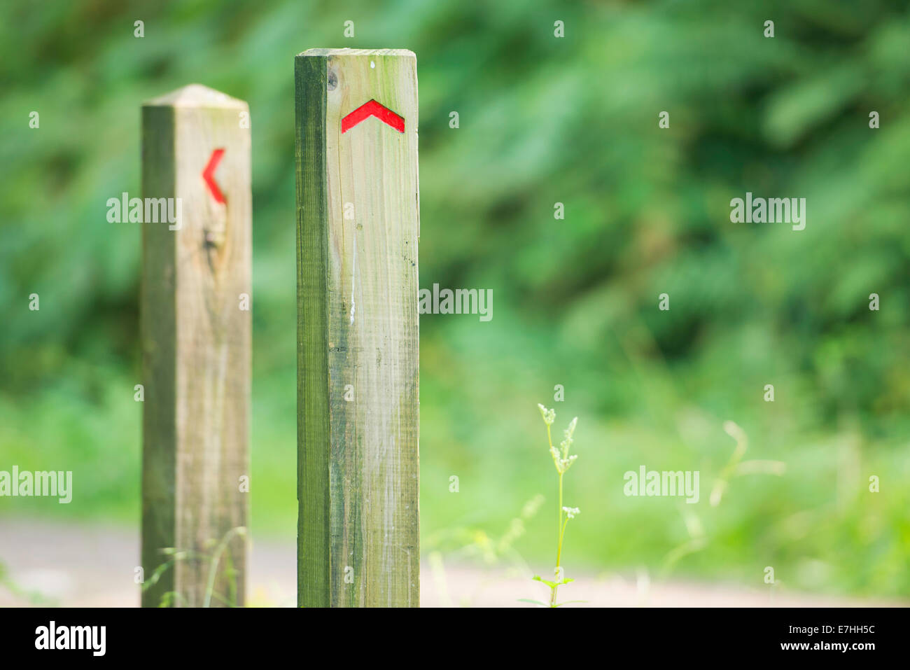 Wooden posts with direction arrows in woodland setting Stock Photo - Alamy