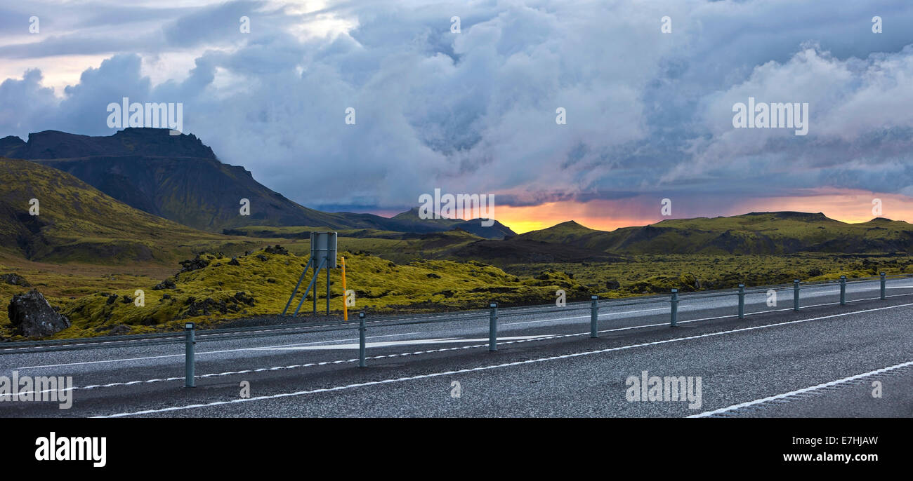 Wooly moss hi-res stock photography and images - Alamy
