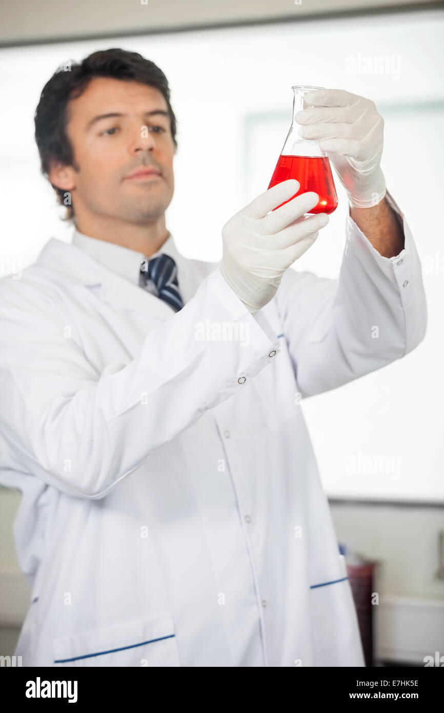 Scientist Analyzing Red Solution In Flask Stock Photo - Alamy
