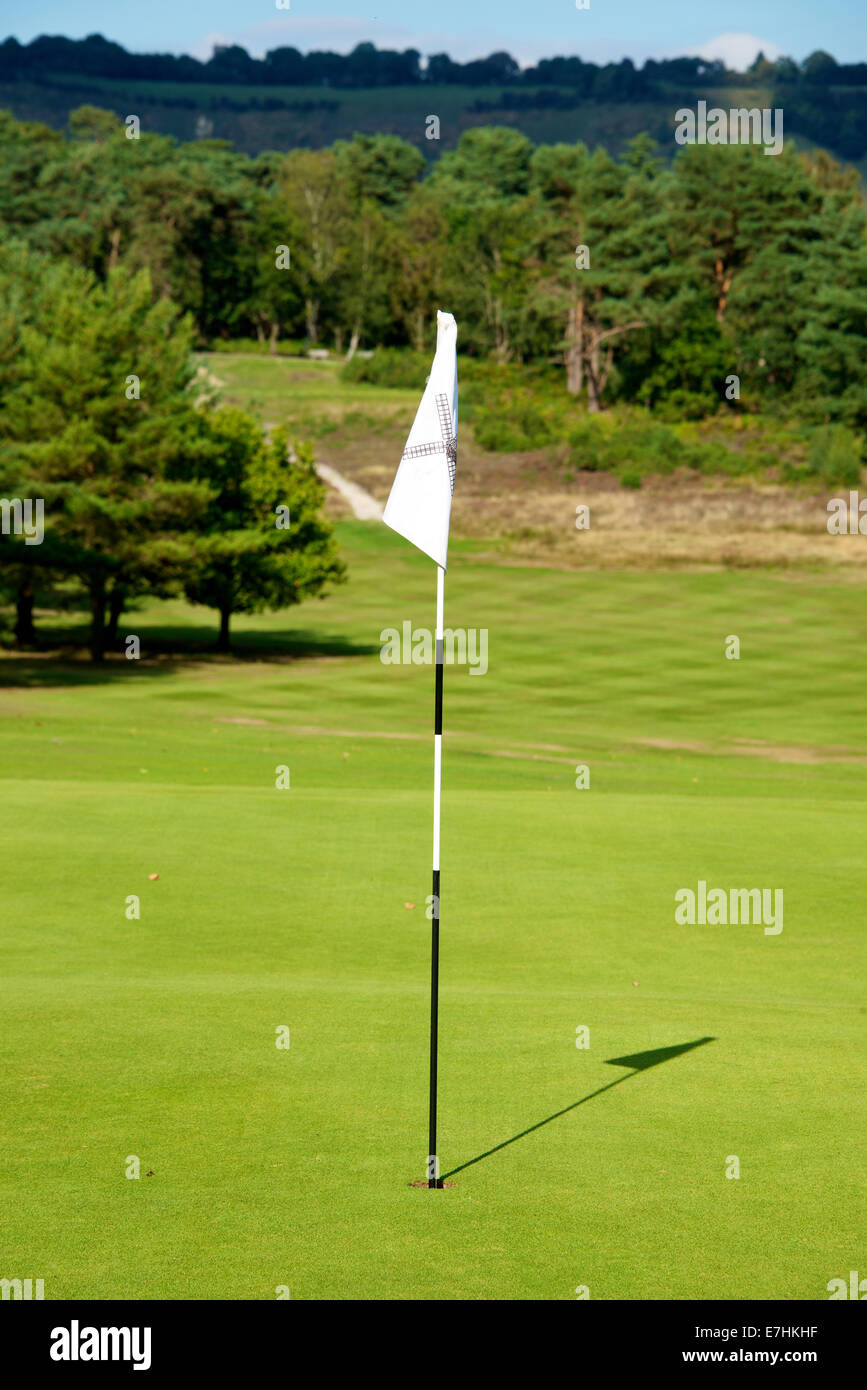 Clock Golf. Golfing putting green fairway and post with flag Stock ...