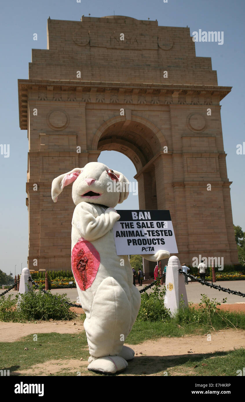 New Delhi, India. 18th September, 2014. Activist of People for the ...