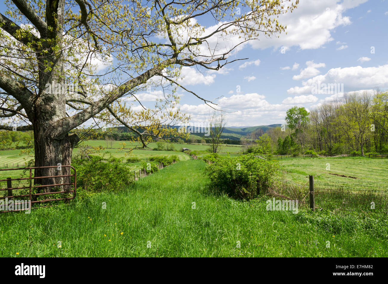 Country Scene, Open Pastures, Hudson Valley, NY Stock Photo - Alamy