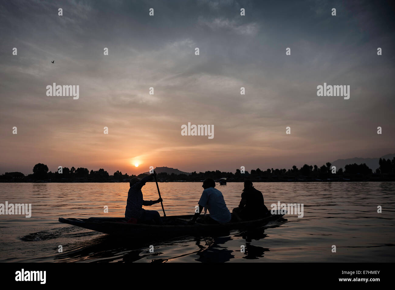 Kashmir india shikara hi-res stock photography and images - Alamy