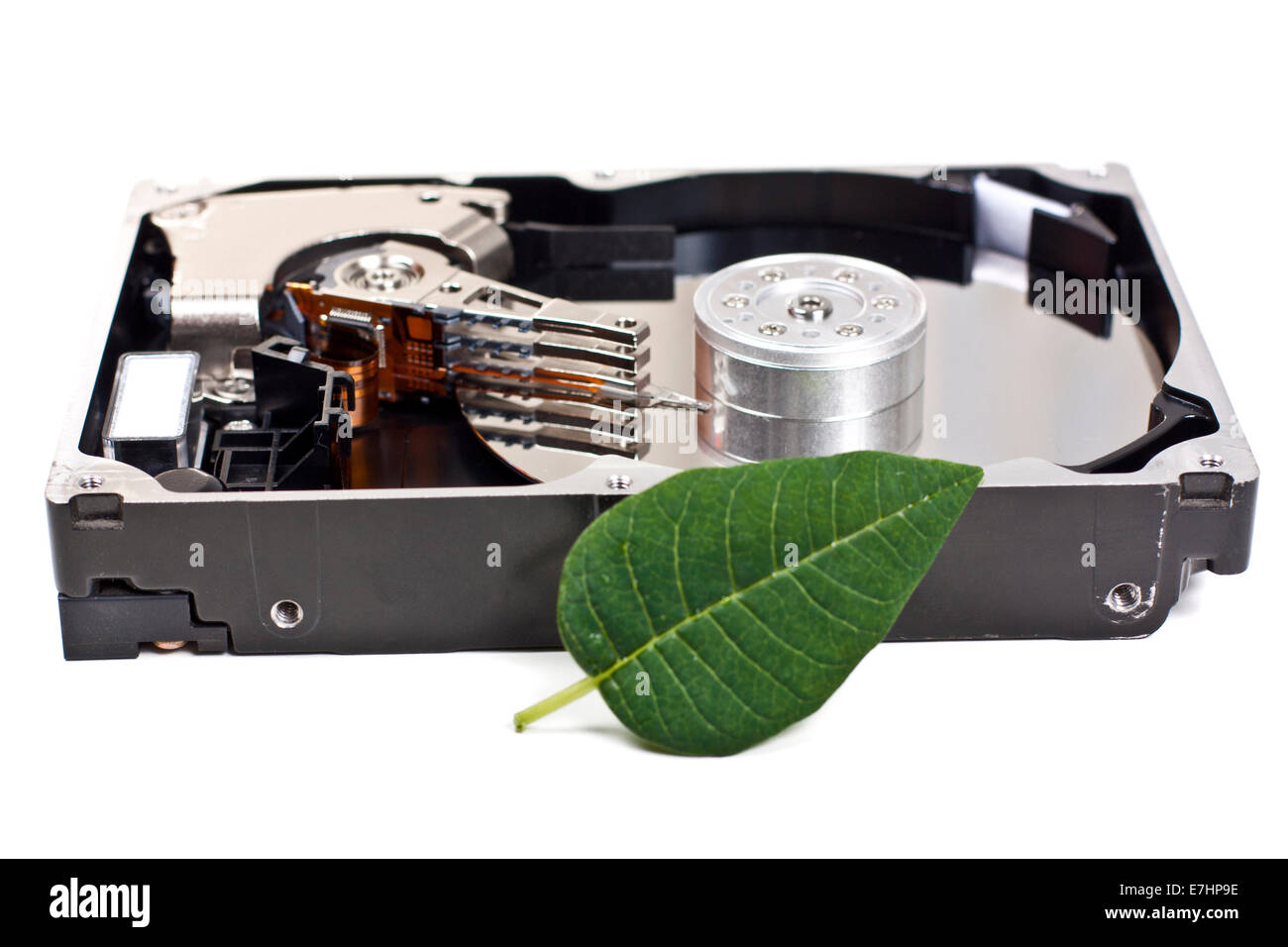 open hard drive unit and one green leaf, isolated over white background ...