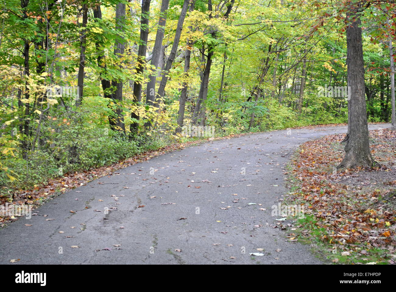 Rural laneway hi-res stock photography and images - Alamy