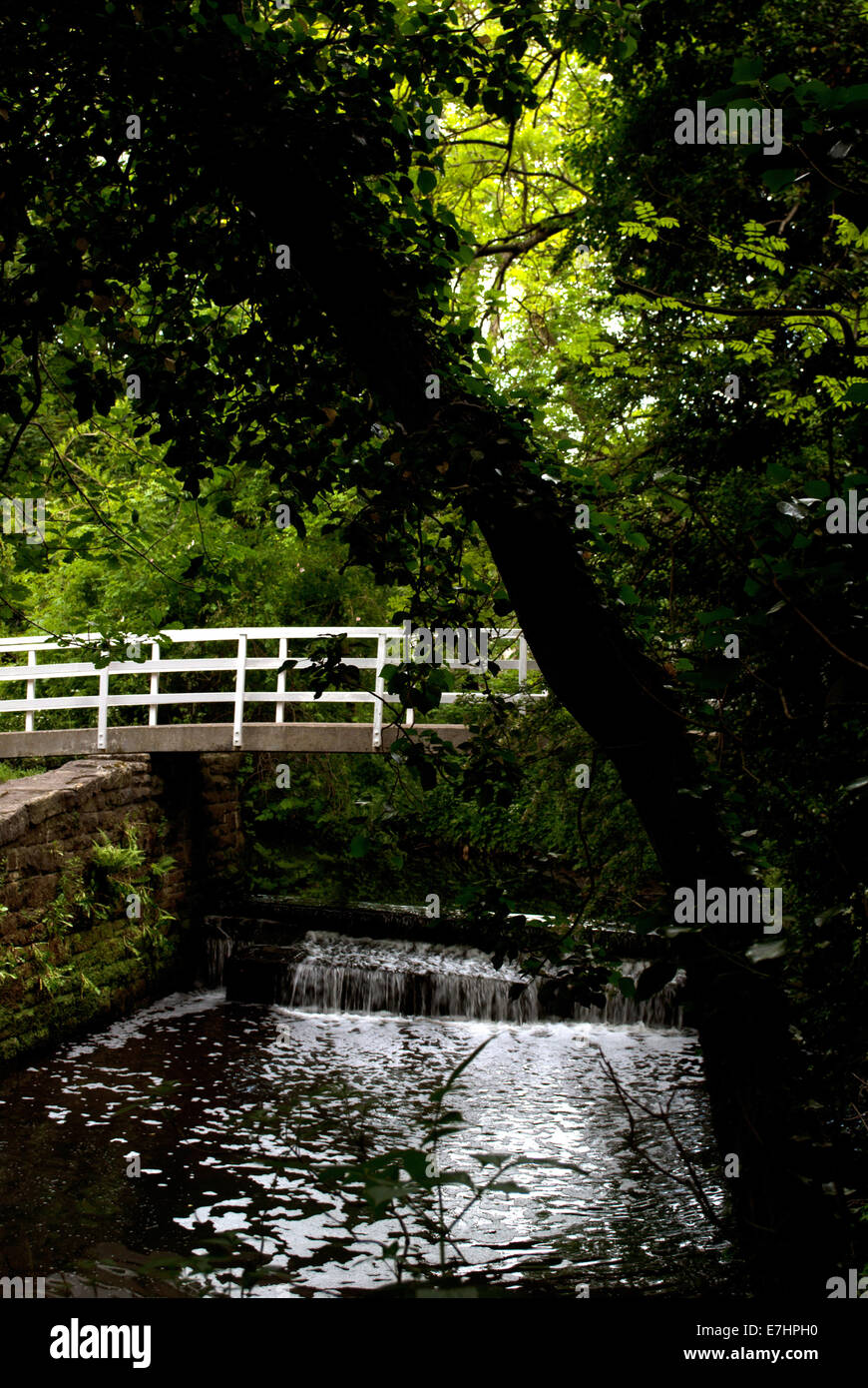 River ouseburn hi-res stock photography and images - Alamy