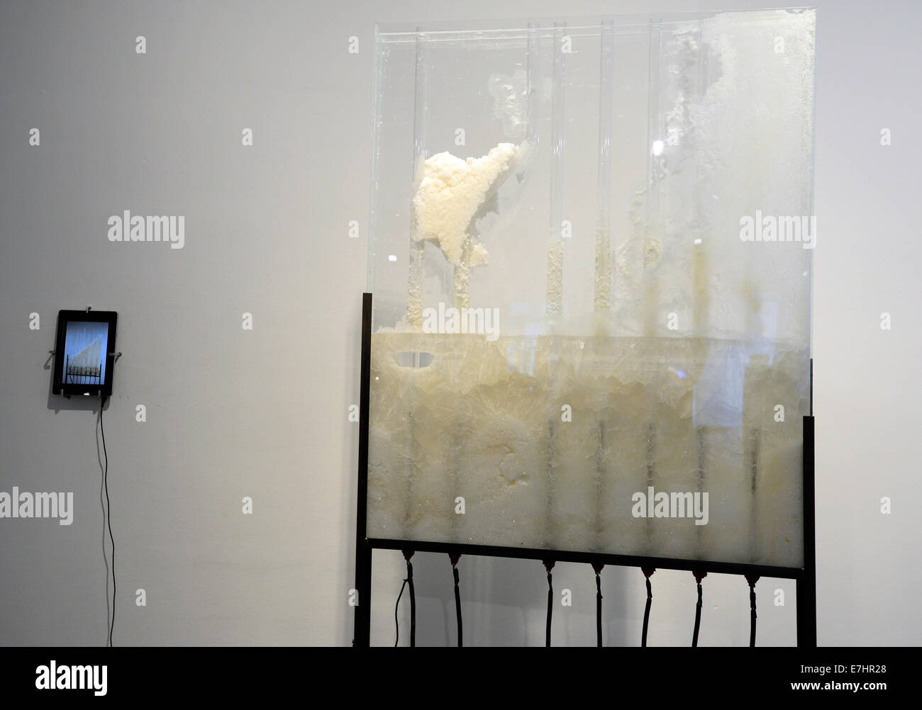 Names of winners of the international competition Stanislav Libensky ...