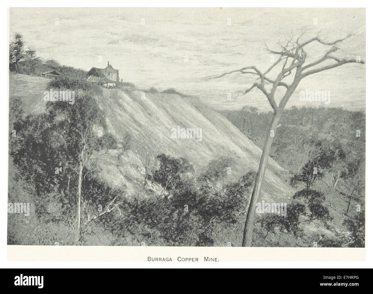 Burraga hi-res stock photography and images - Alamy