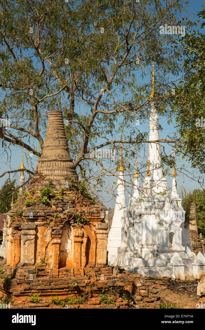 Thein hi-res stock photography and images - Alamy