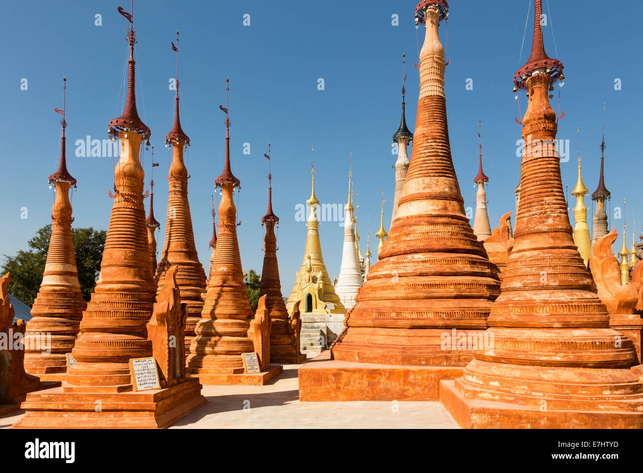 Thein hi-res stock photography and images - Alamy