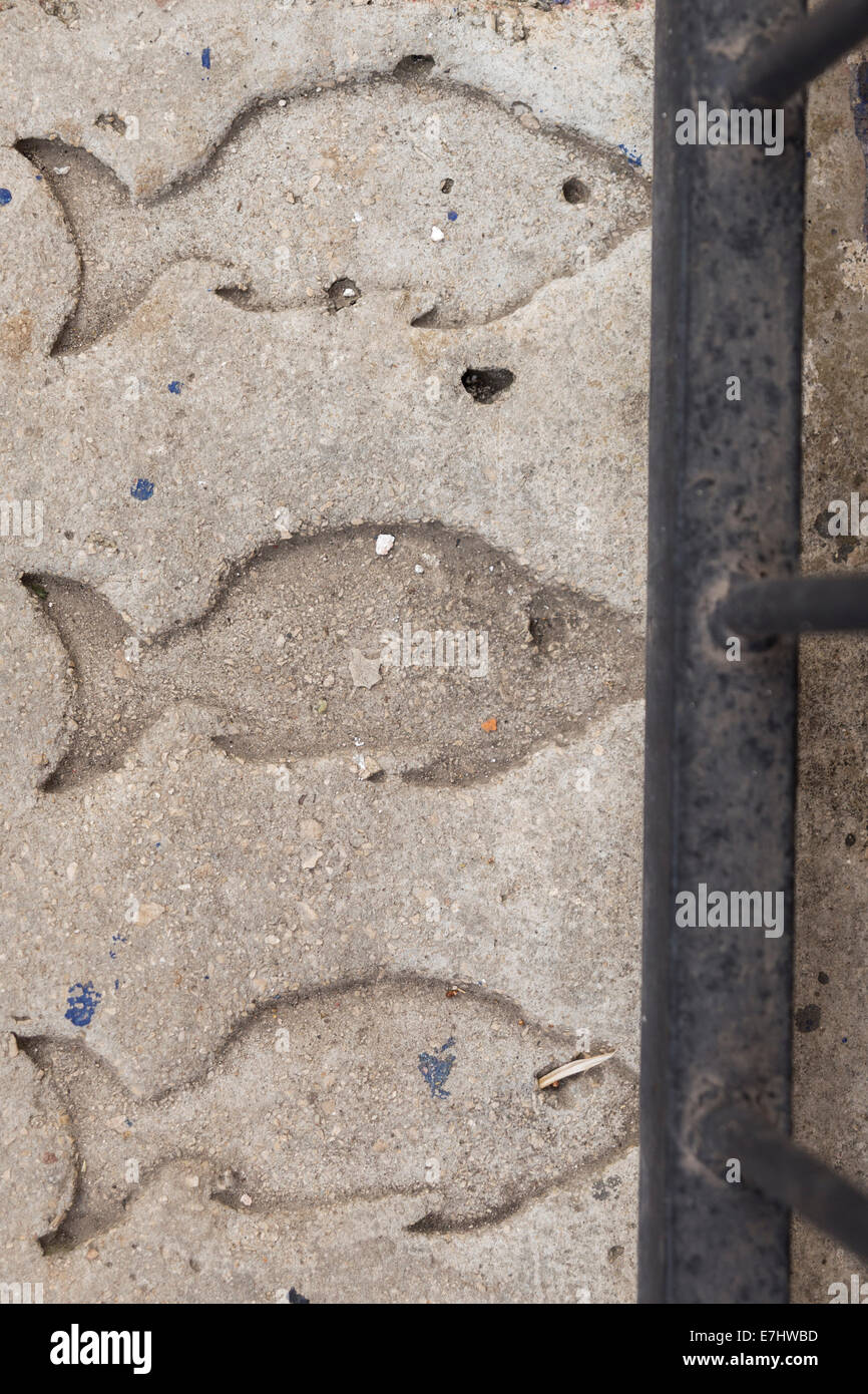 three shapes of fish on a walking path Stock Photo - Alamy