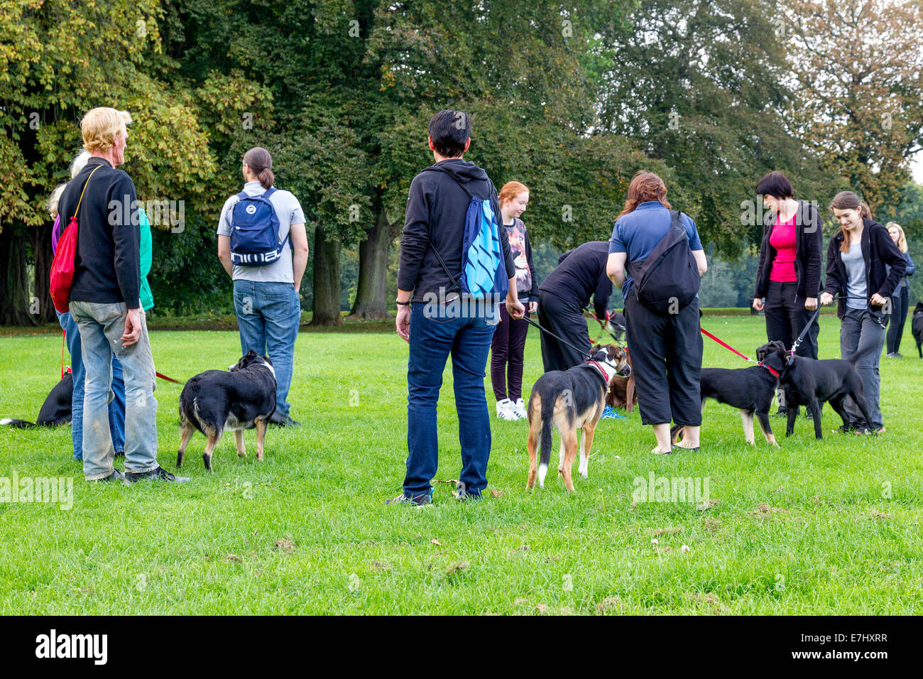 Northampton. U.K. 18th September 2014. A Northampton dog behaviorist ...