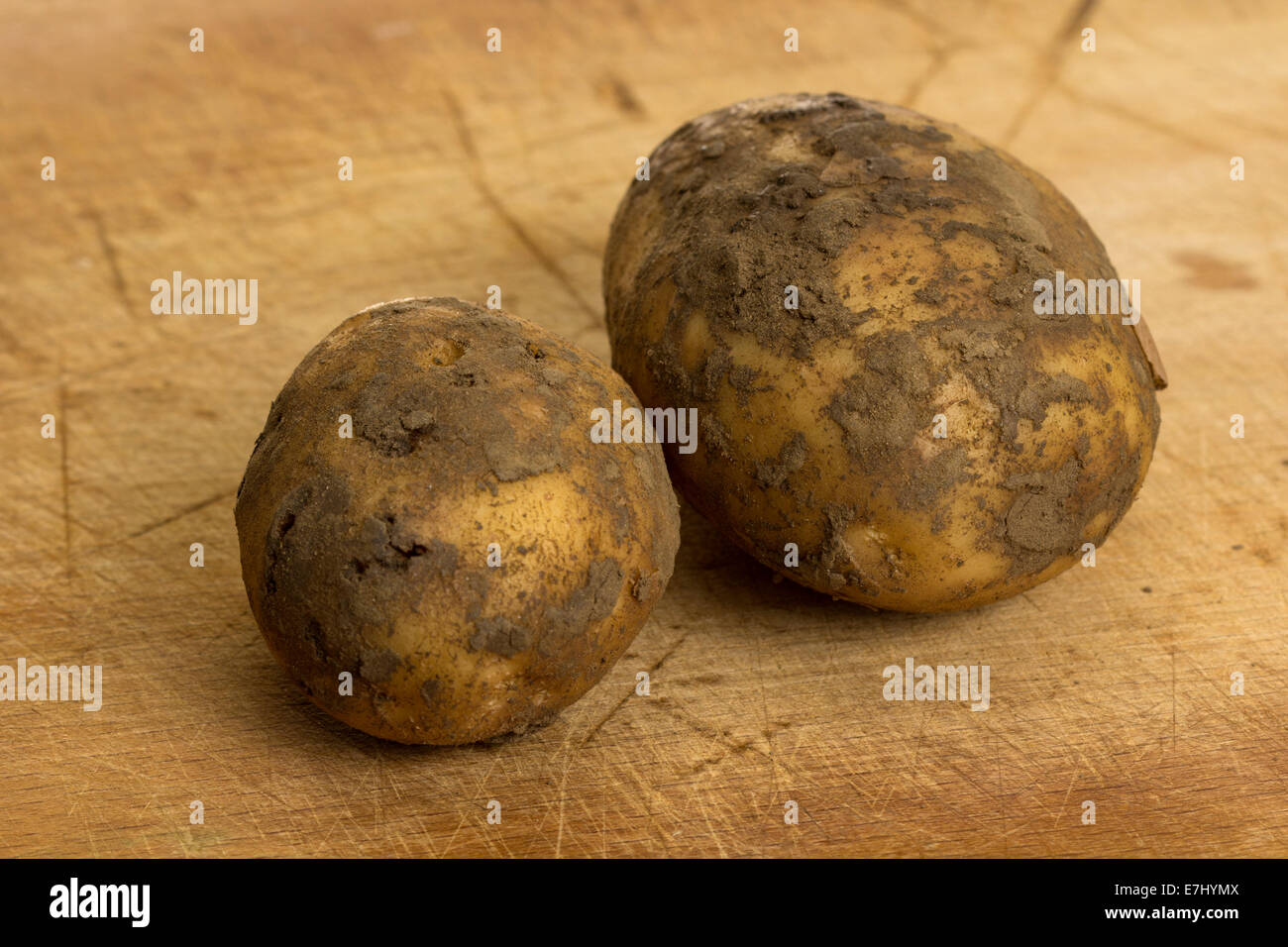 Two dirty potatoes on a wooden background Stock Photo - Alamy