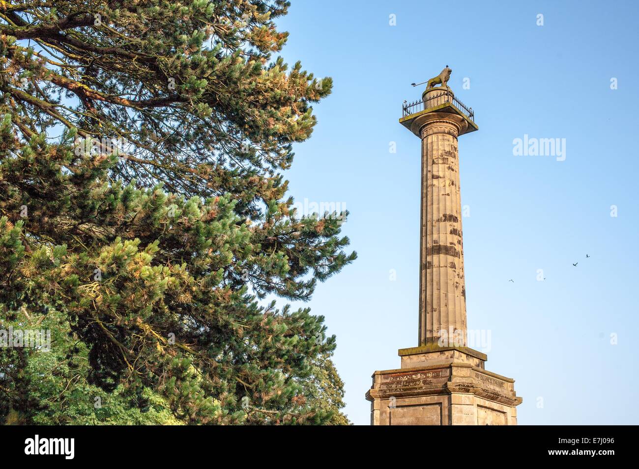 The Tenantry Column, a monument topped by the Percy Lion, symbol of the ...