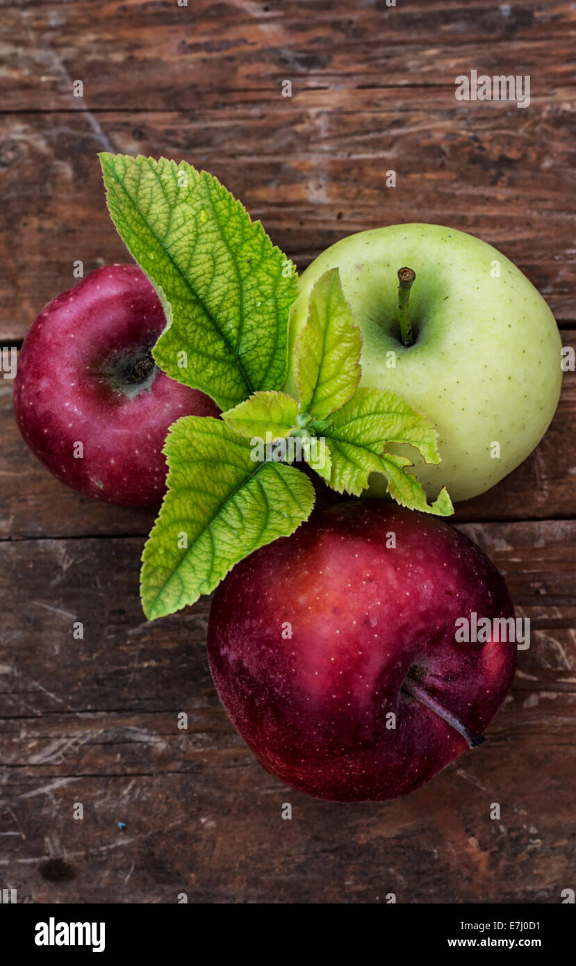 freshly harvested crop rustic apples Stock Photo - Alamy