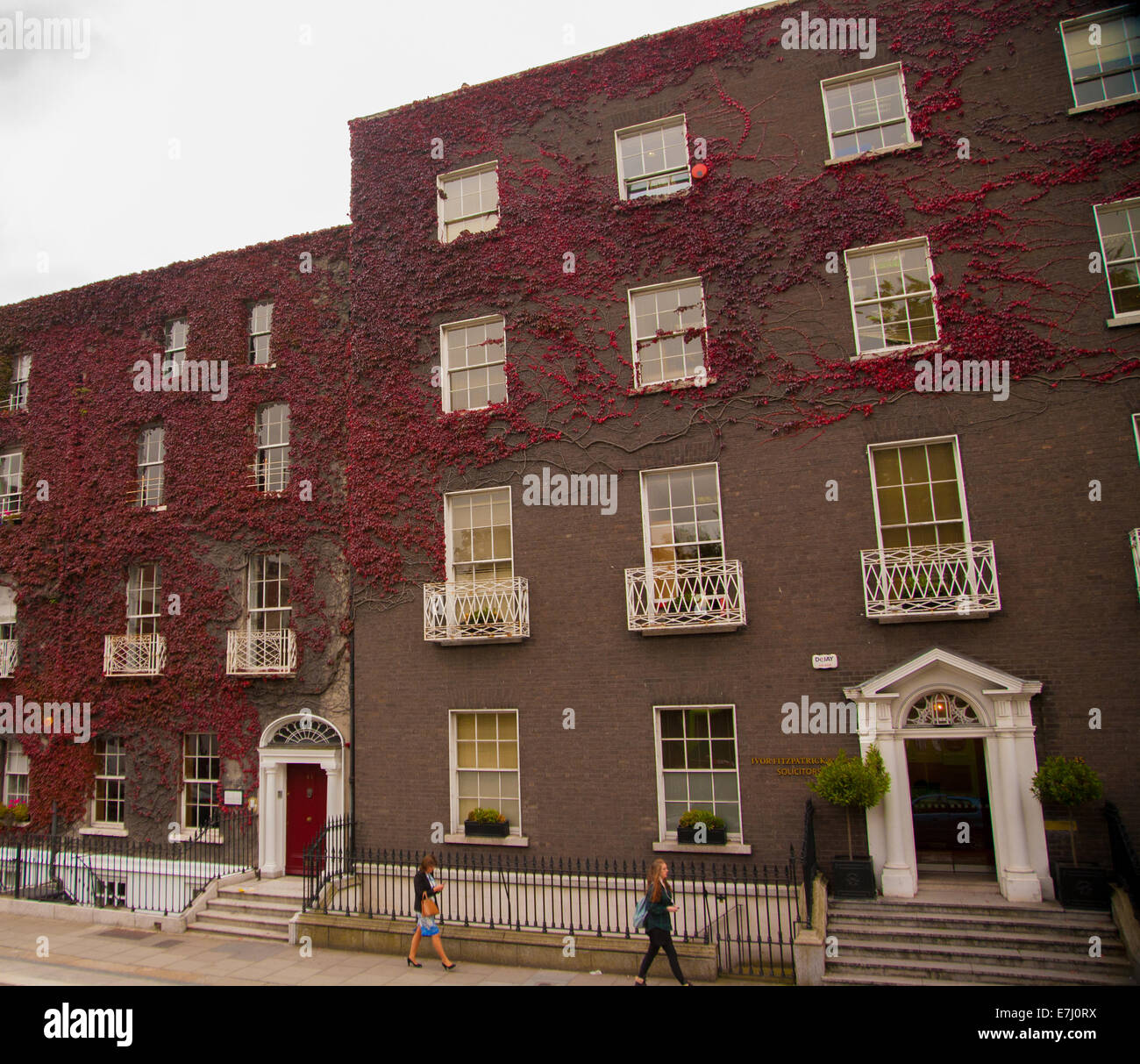 Full red plant wall in glasgow Stock Photo - Alamy