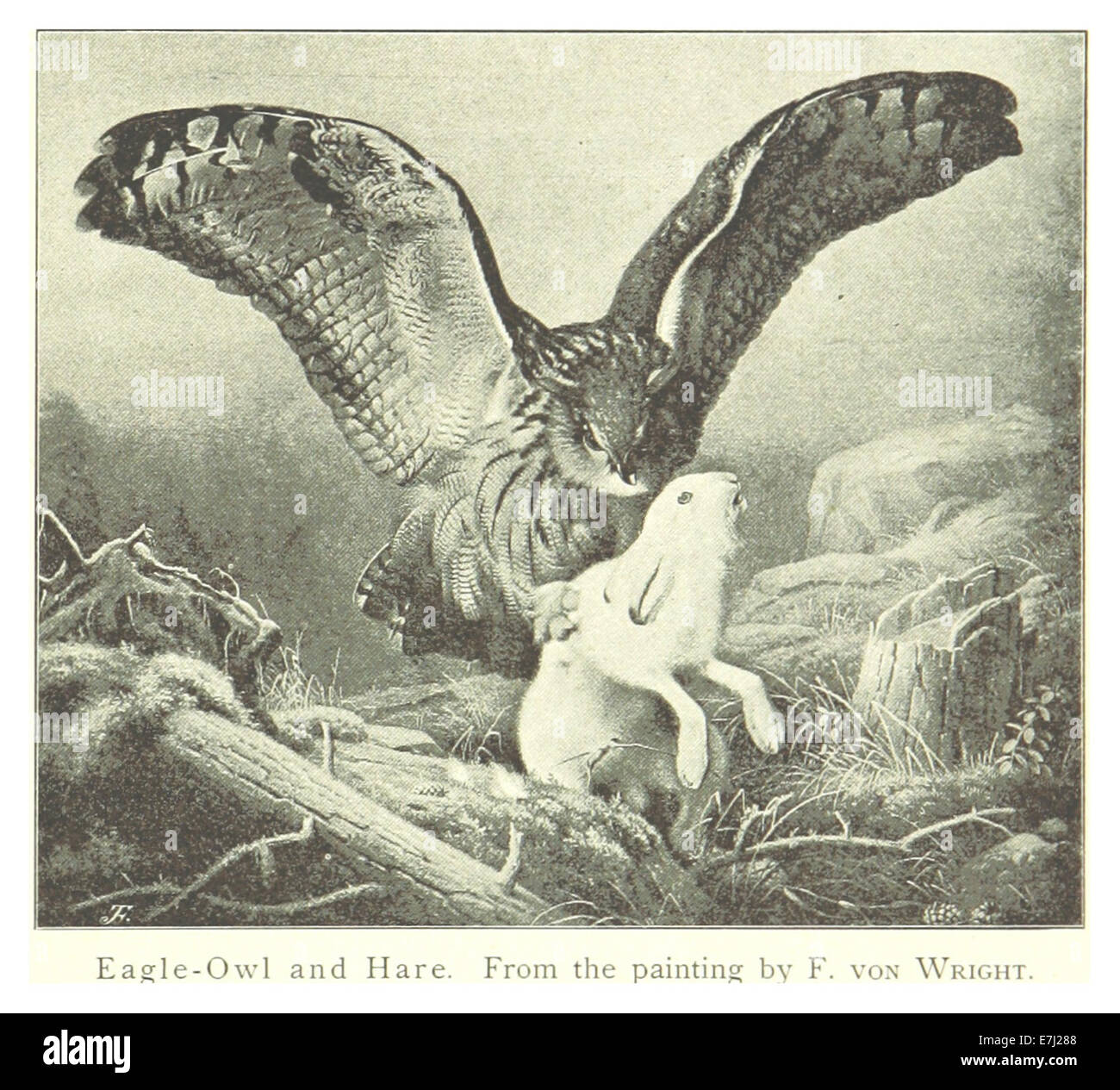 Historic eagle illustration Cut Out Stock Images & Pictures - Alamy