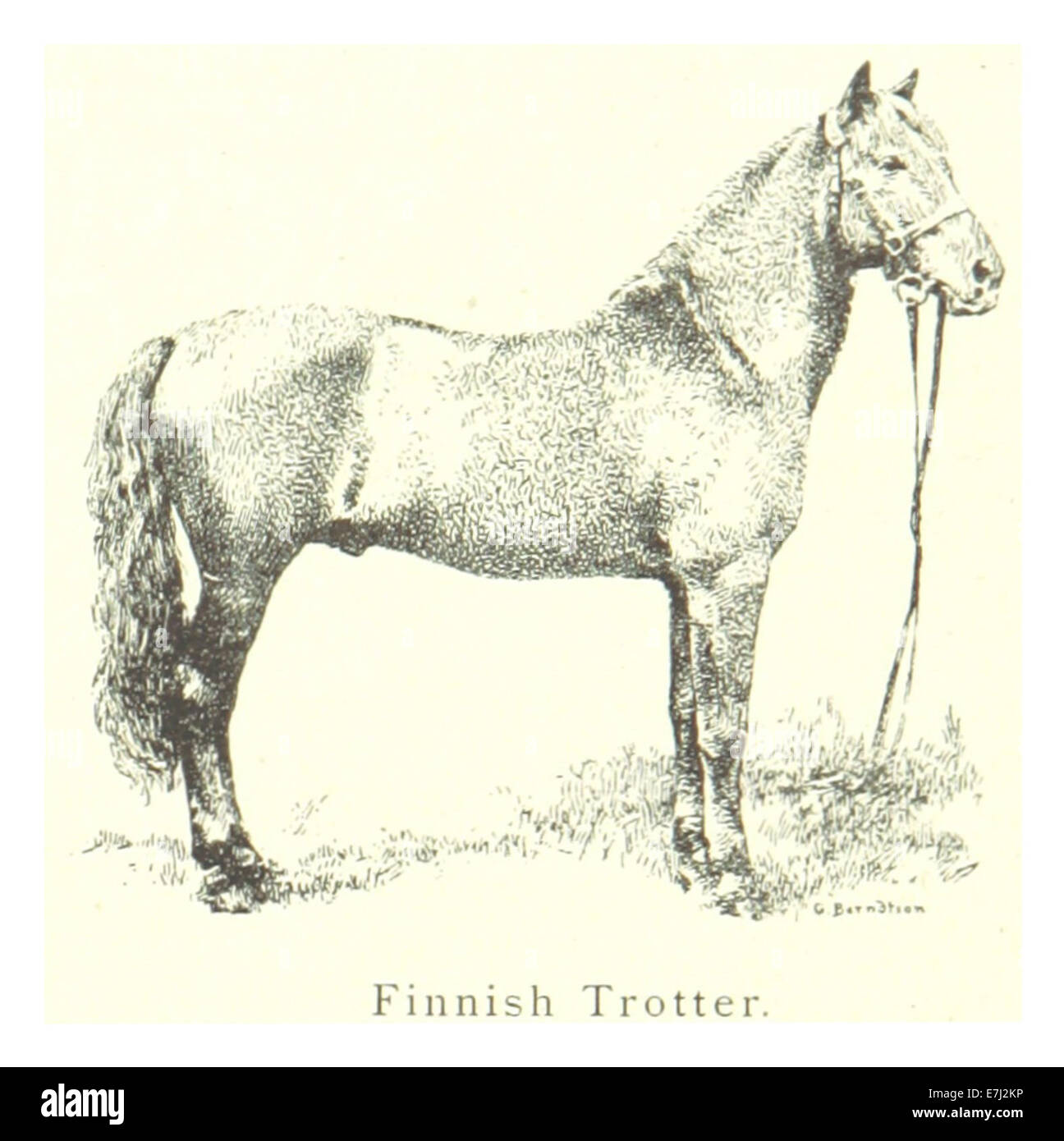 An illustration from page 117 of Mechelin's 1894 publication, depicting ...
