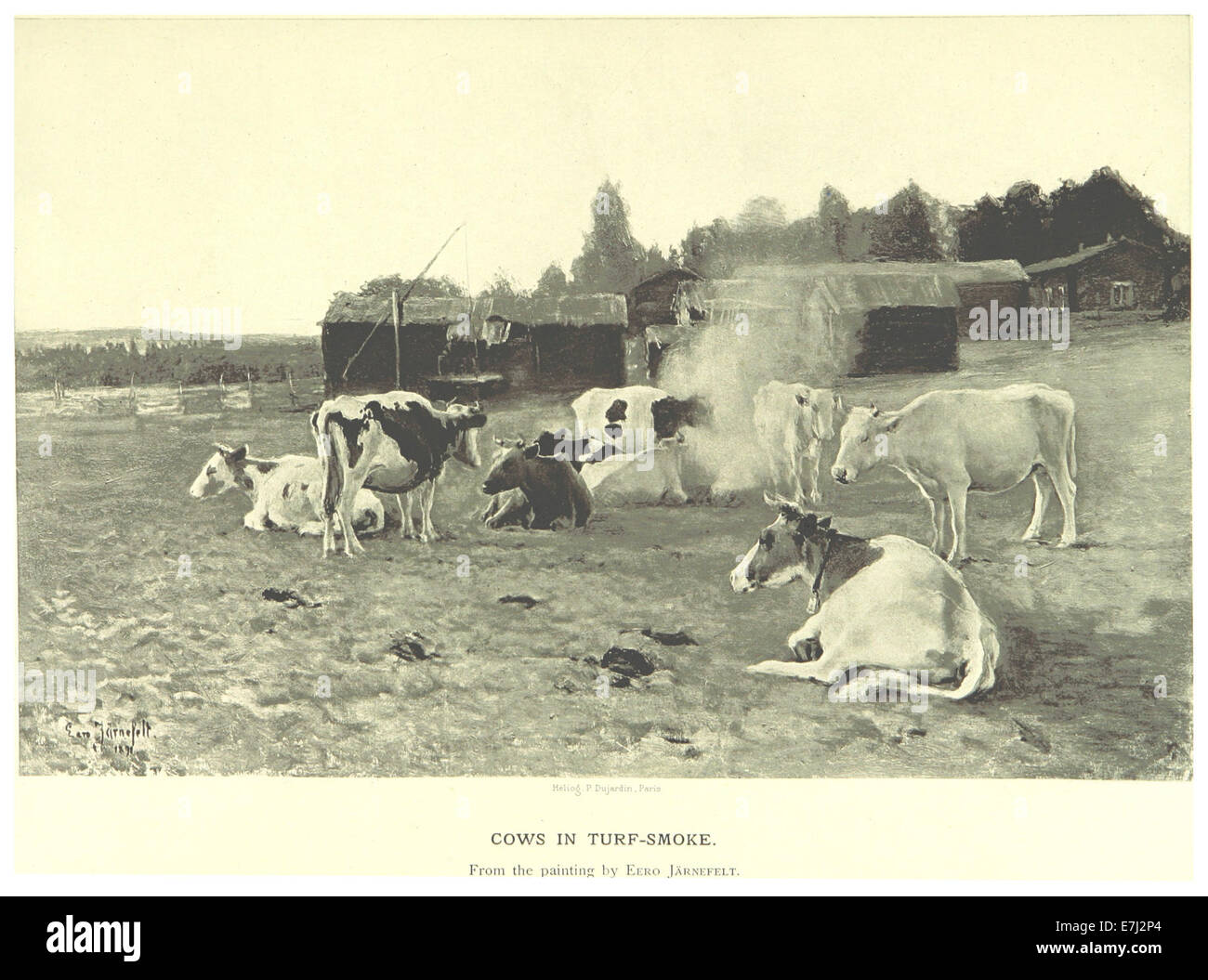 An 1894 illustration from Mechelin, depicting cows in turf smoke. The ...