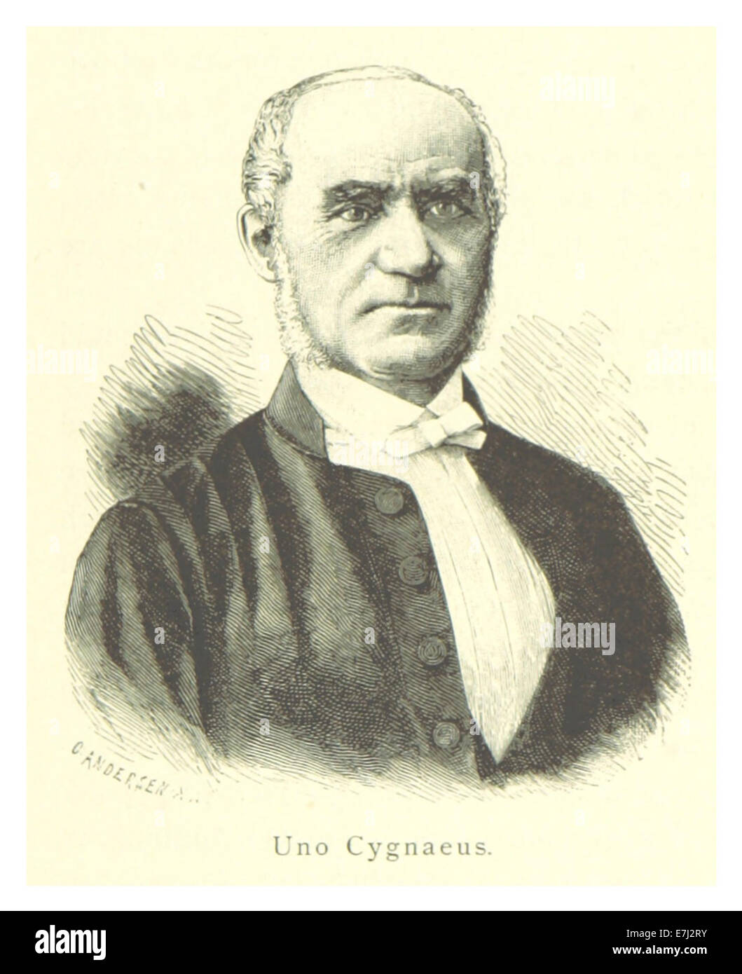 Uno cygnaeus hi-res stock photography and images - Alamy