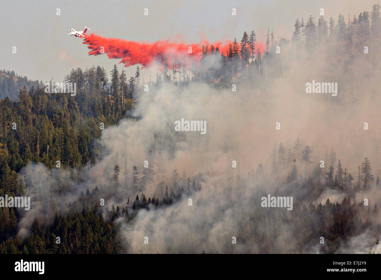 A heavy air tanker drops fire retardant on the Happy Camp Complex Fire ...