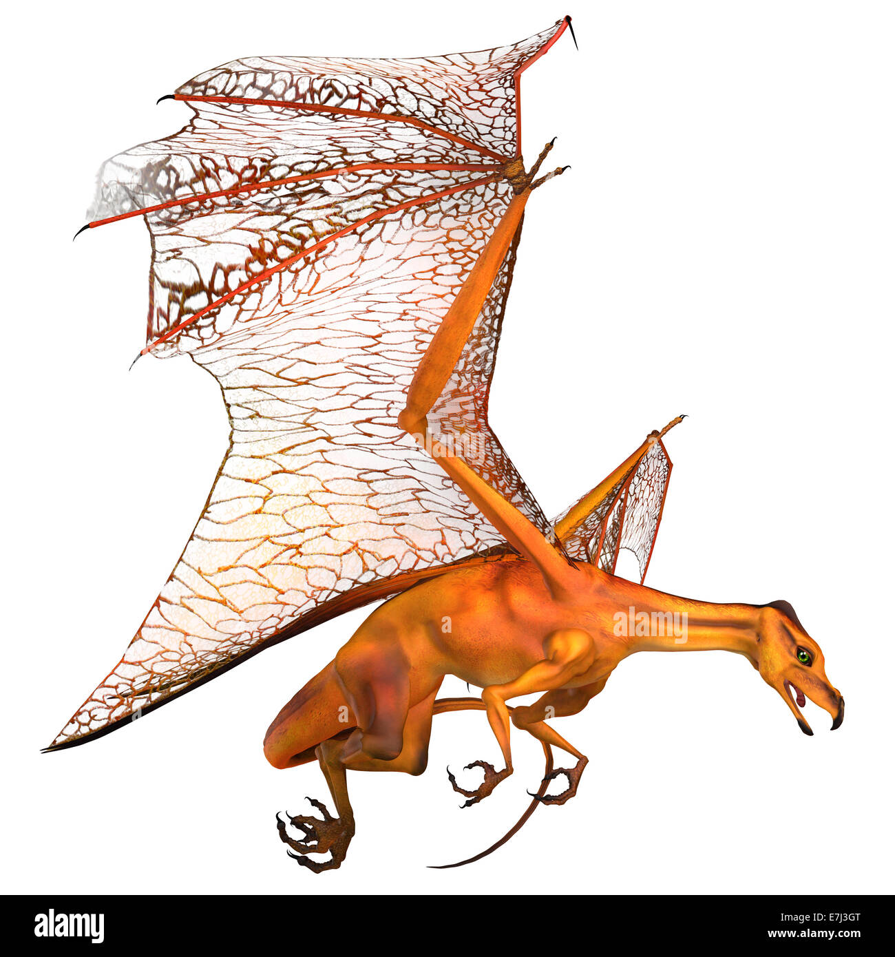 Carnivorous creatures Cut Out Stock Images & Pictures - Alamy