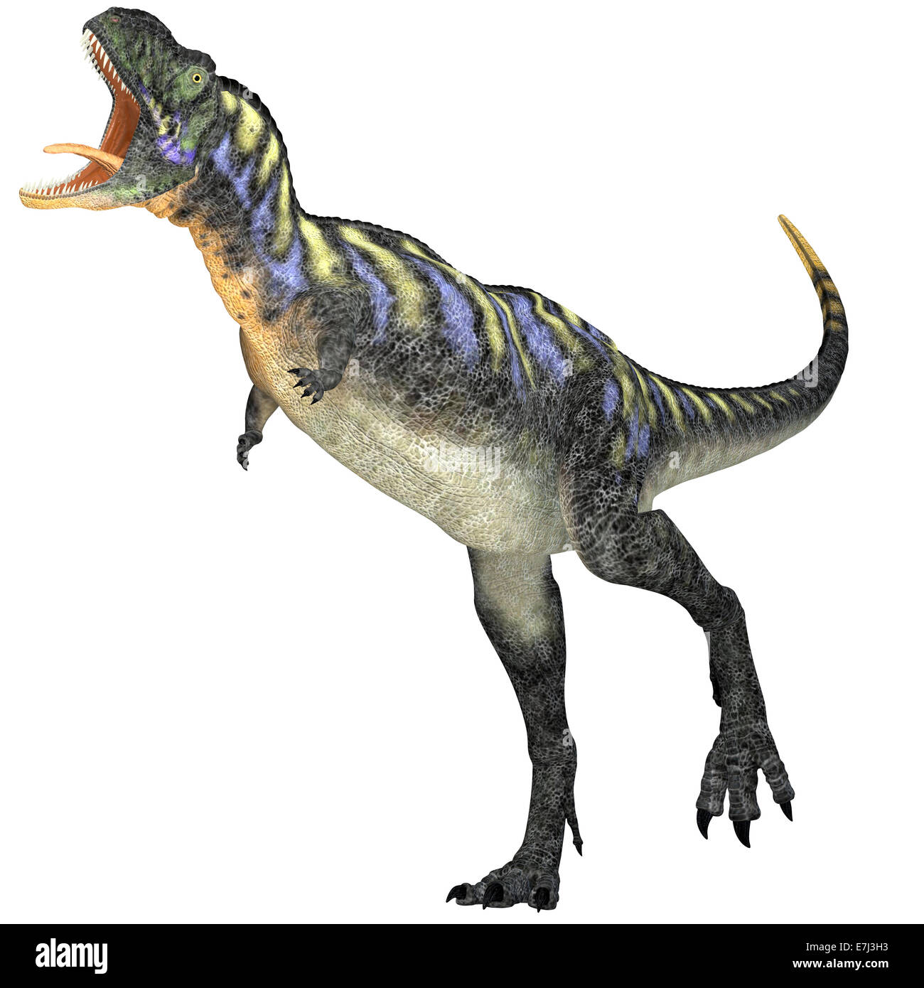 Aucasaurus was a predatory dinosaur from the Cretaceous Period in ...