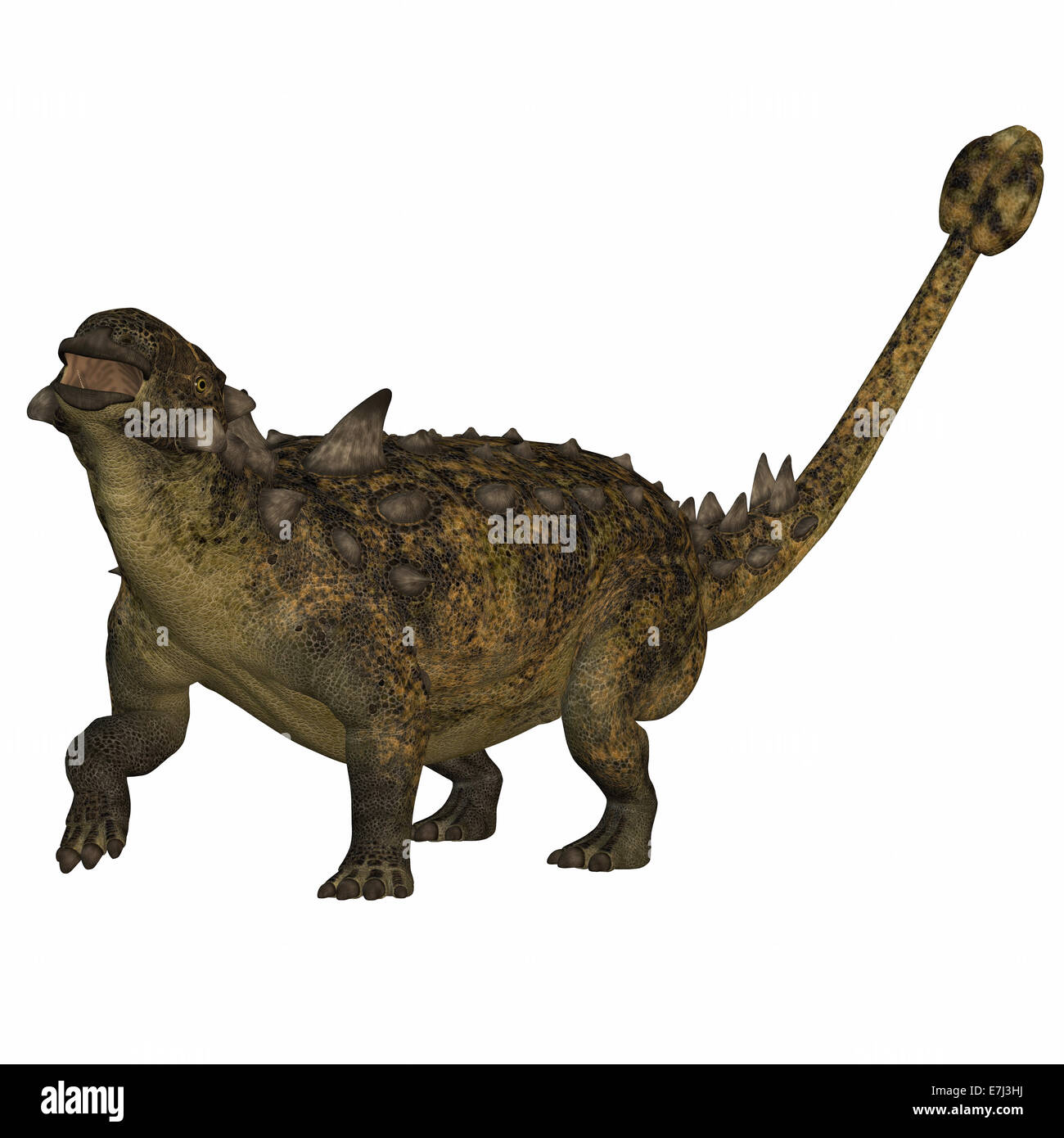 Euoplocephalus hi-res stock photography and images - Alamy