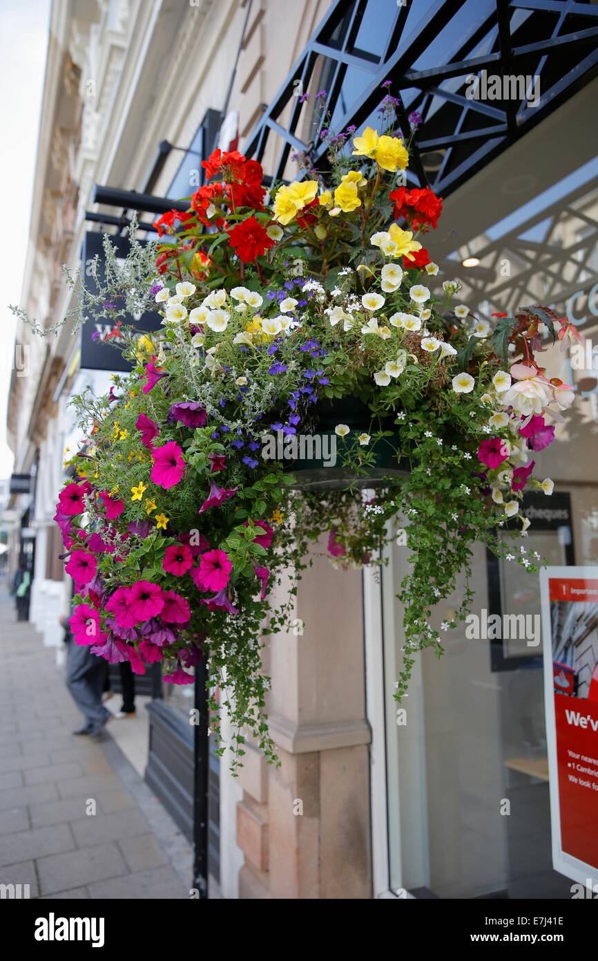 Harrogate Shops and People Stock Photo - Alamy