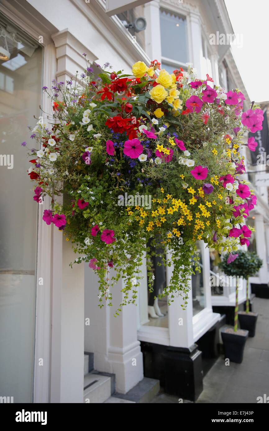 Harrogate Street Scene Stock Photo - Alamy