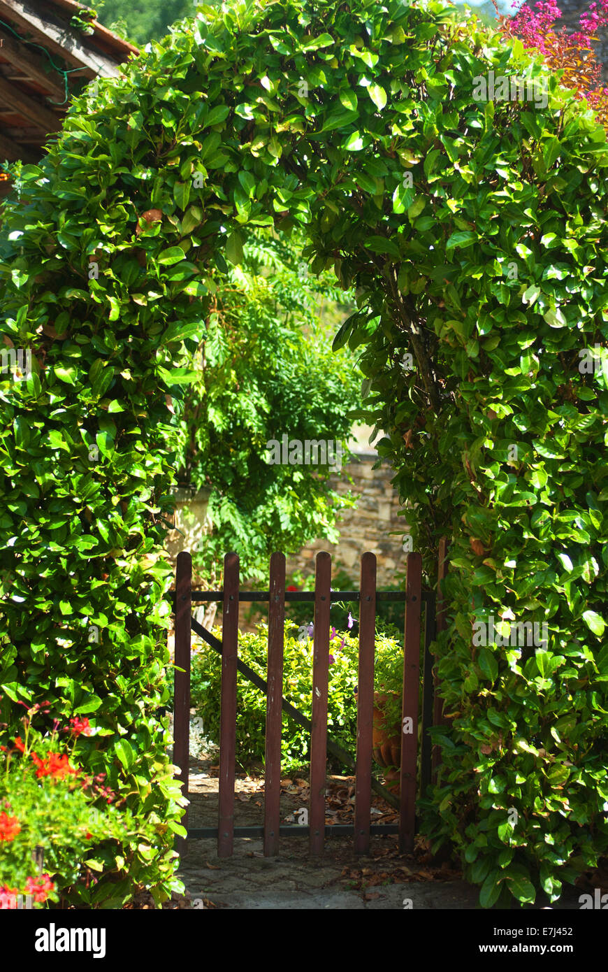 Hedges form gates hi-res stock photography and images - Alamy