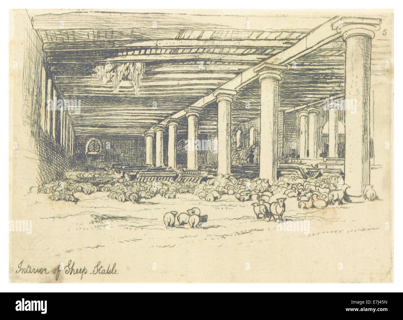 RIGBY(1842) Baltic letters, p1.186 INTERIOR OF AN SHEEP STABLE Stock ...