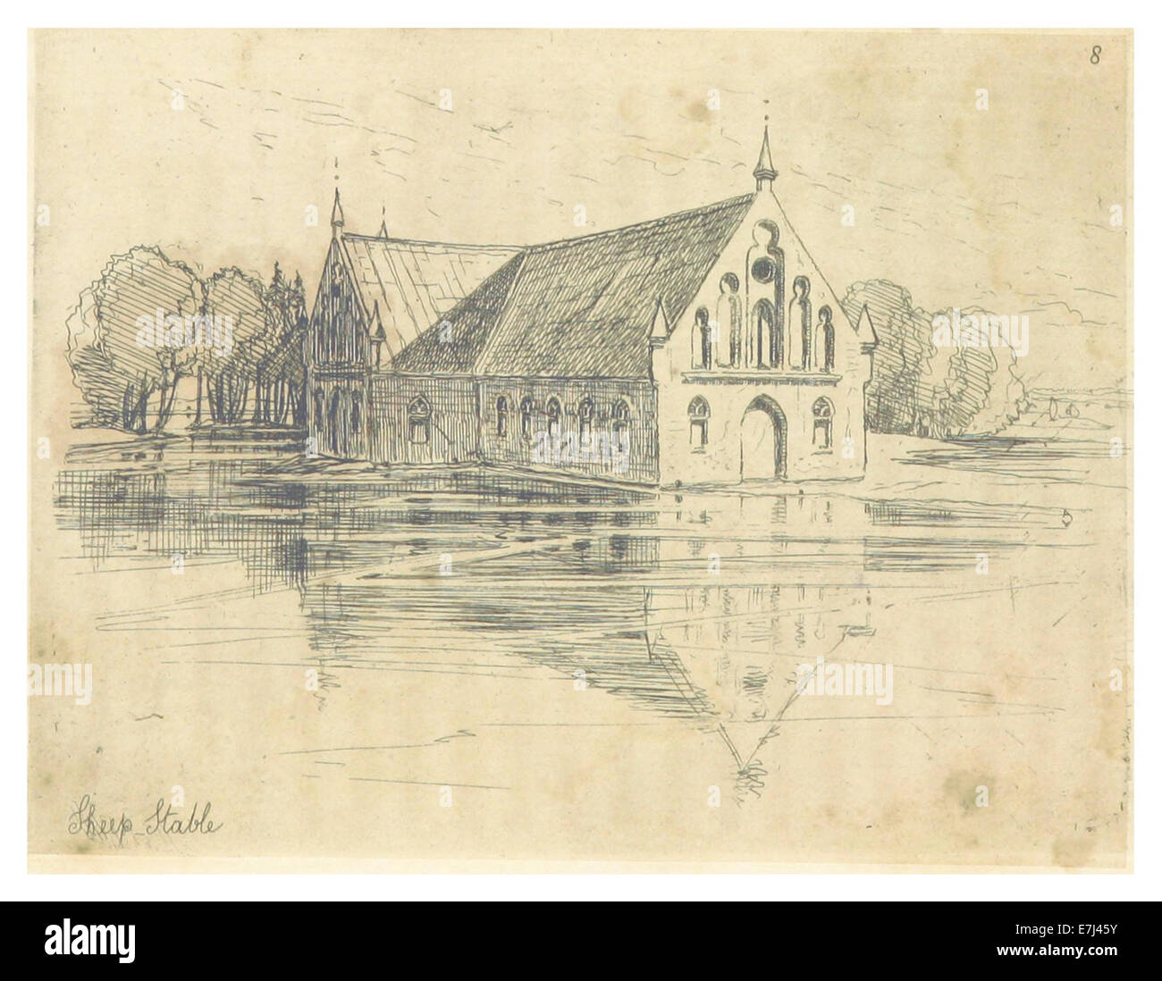 Domestic animal husbandry Cut Out Stock Images & Pictures - Alamy