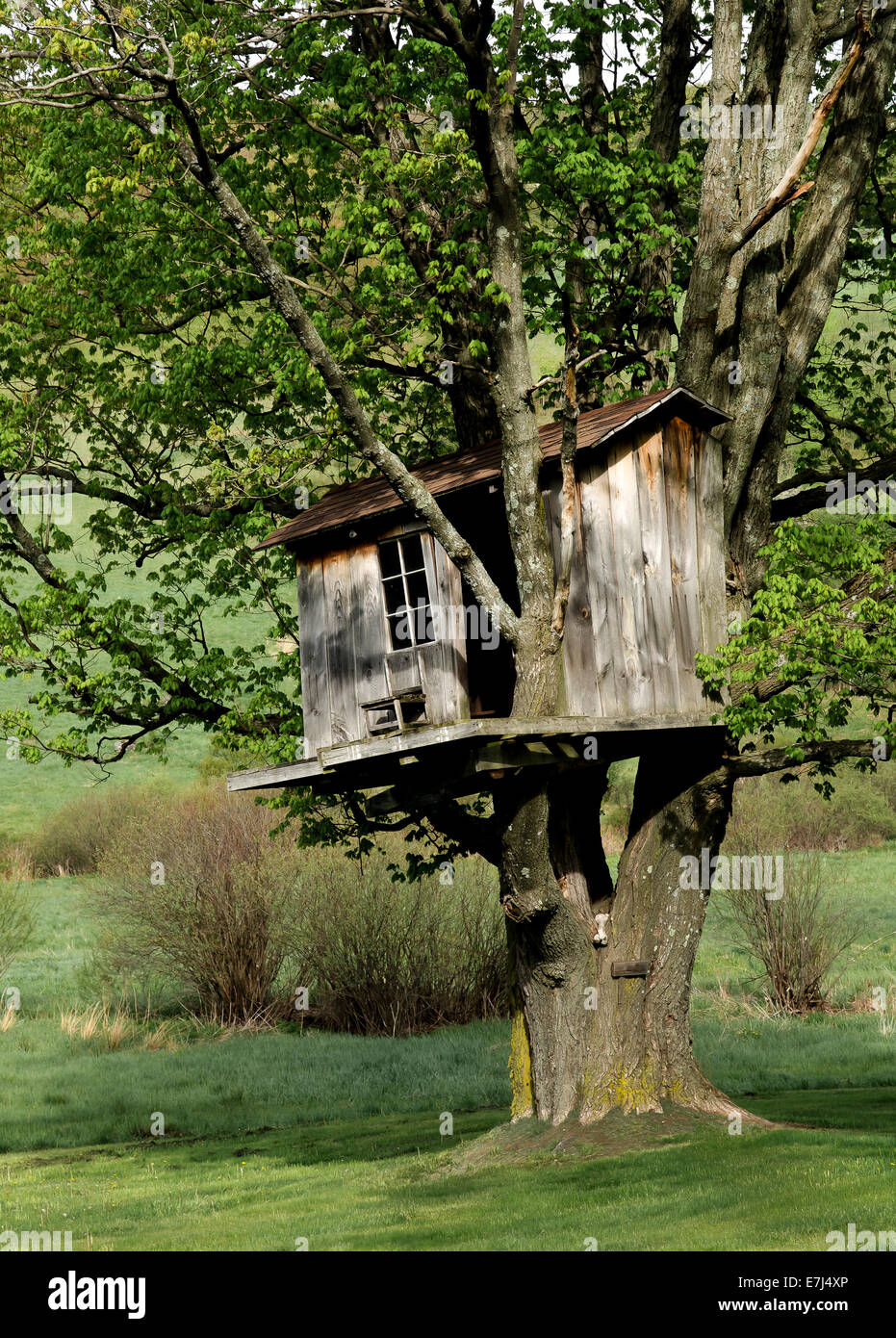 Wonderful Old Treehouse in the Country Stock Photo - Alamy