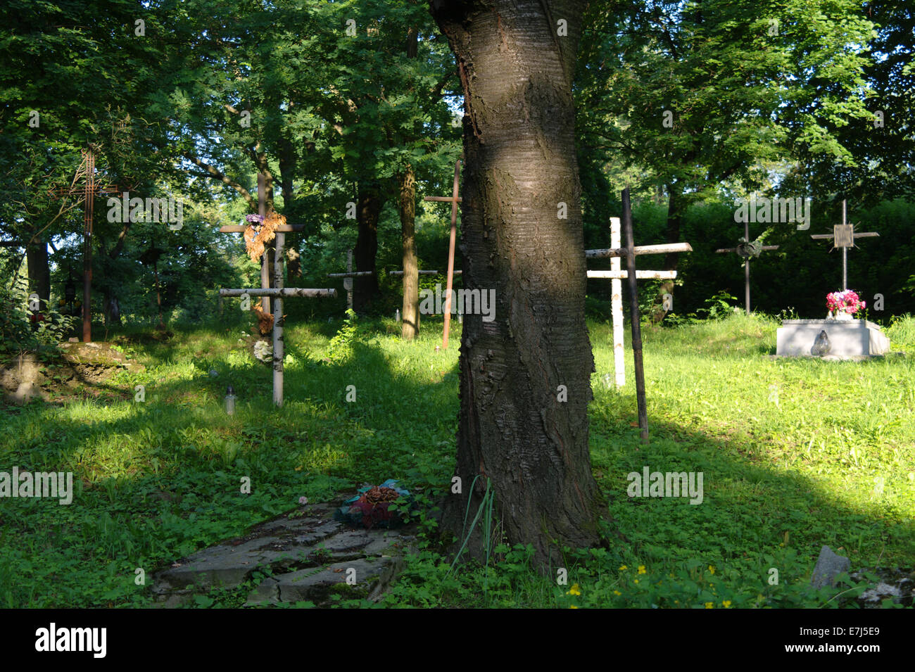 cemetery in a forest Stock Photo - Alamy