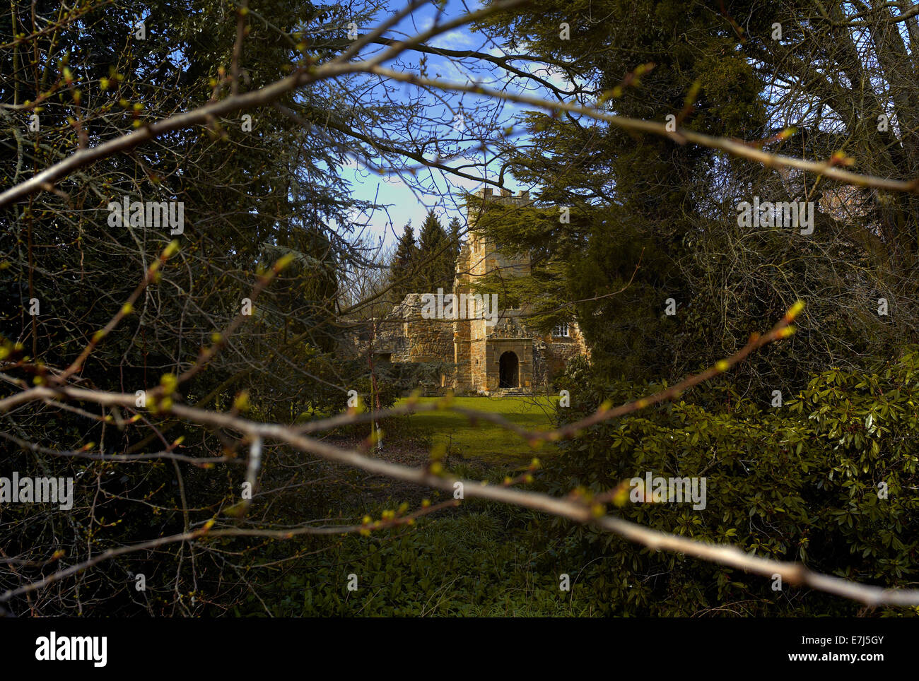 Mitford Hall, Northumberland Stock Photo - Alamy