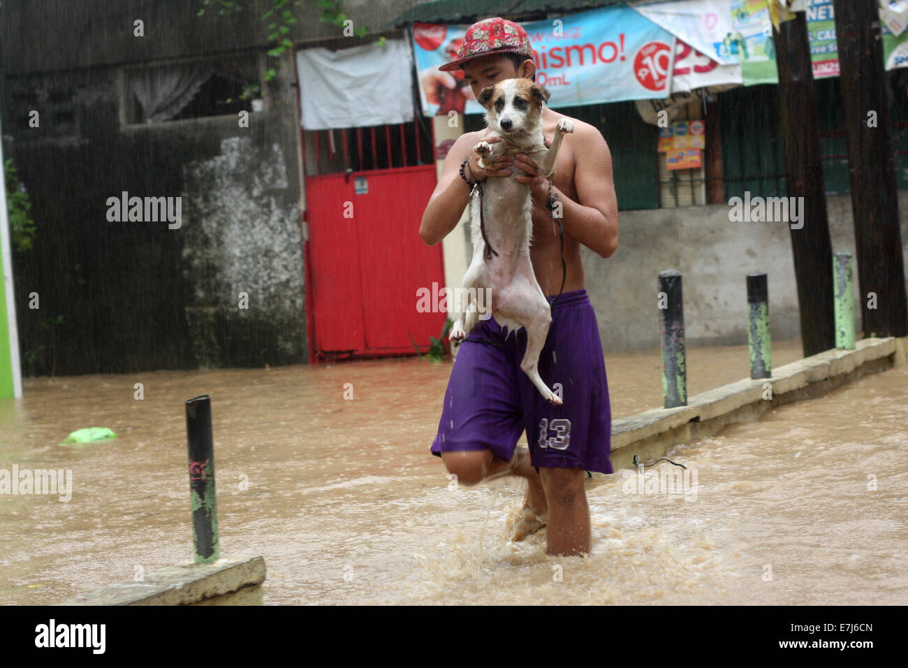 Manila, Philippines. 19th Sep, 2014. A man rescuing his dog from flood ... Manila, Philippines. 19th Sep, 2014. A man rescuing his dog from flood ...