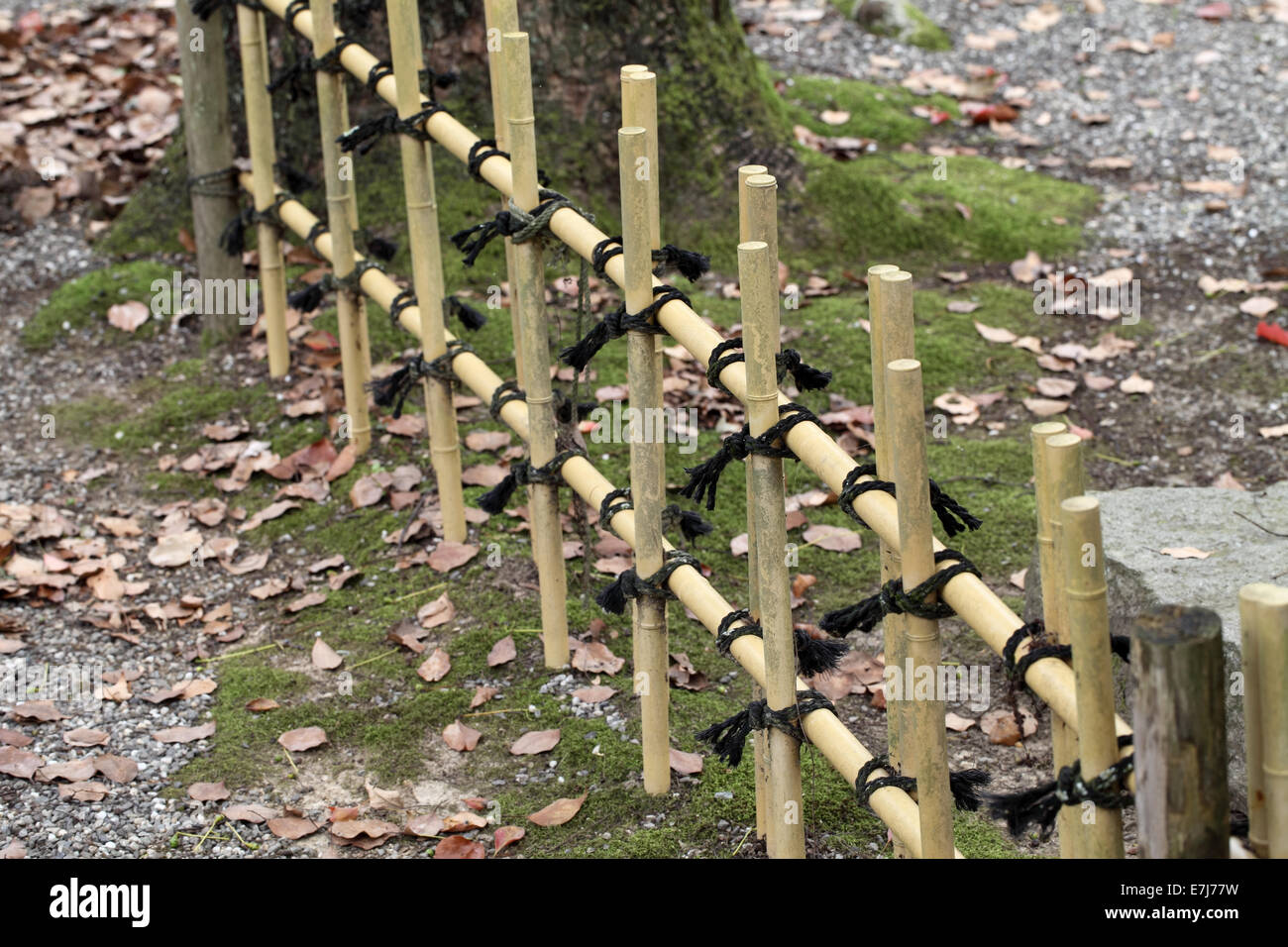 Japanese Bamboo Fence Knots